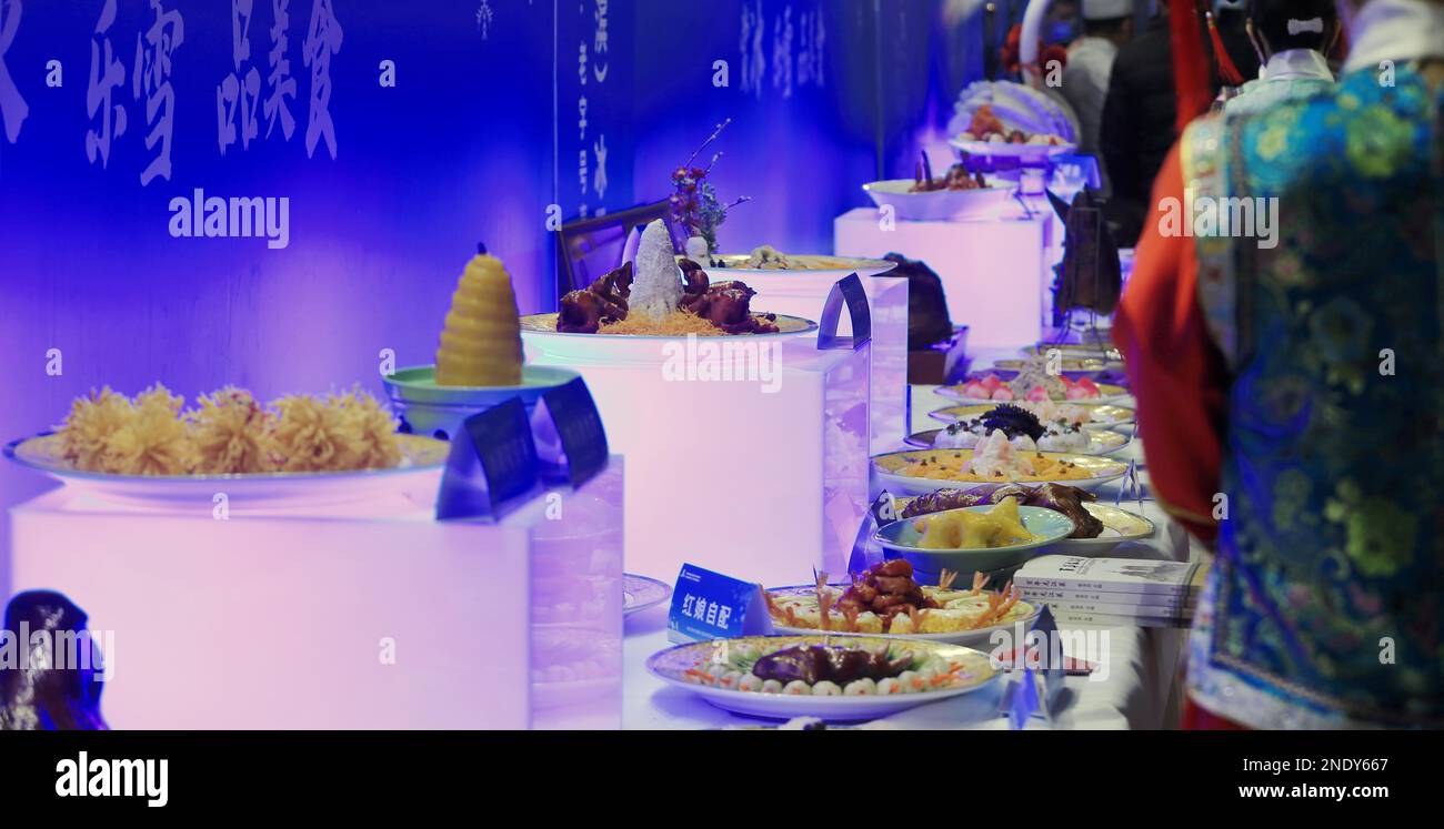 The first China (Harbin) Ice & Snow Food Festival kicks off in Harbin ...