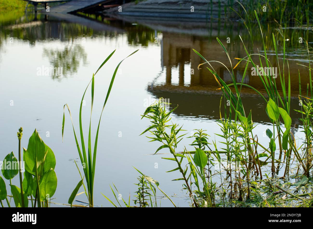 Wooden cottage sauna with a descent into the water in the reflection of ...