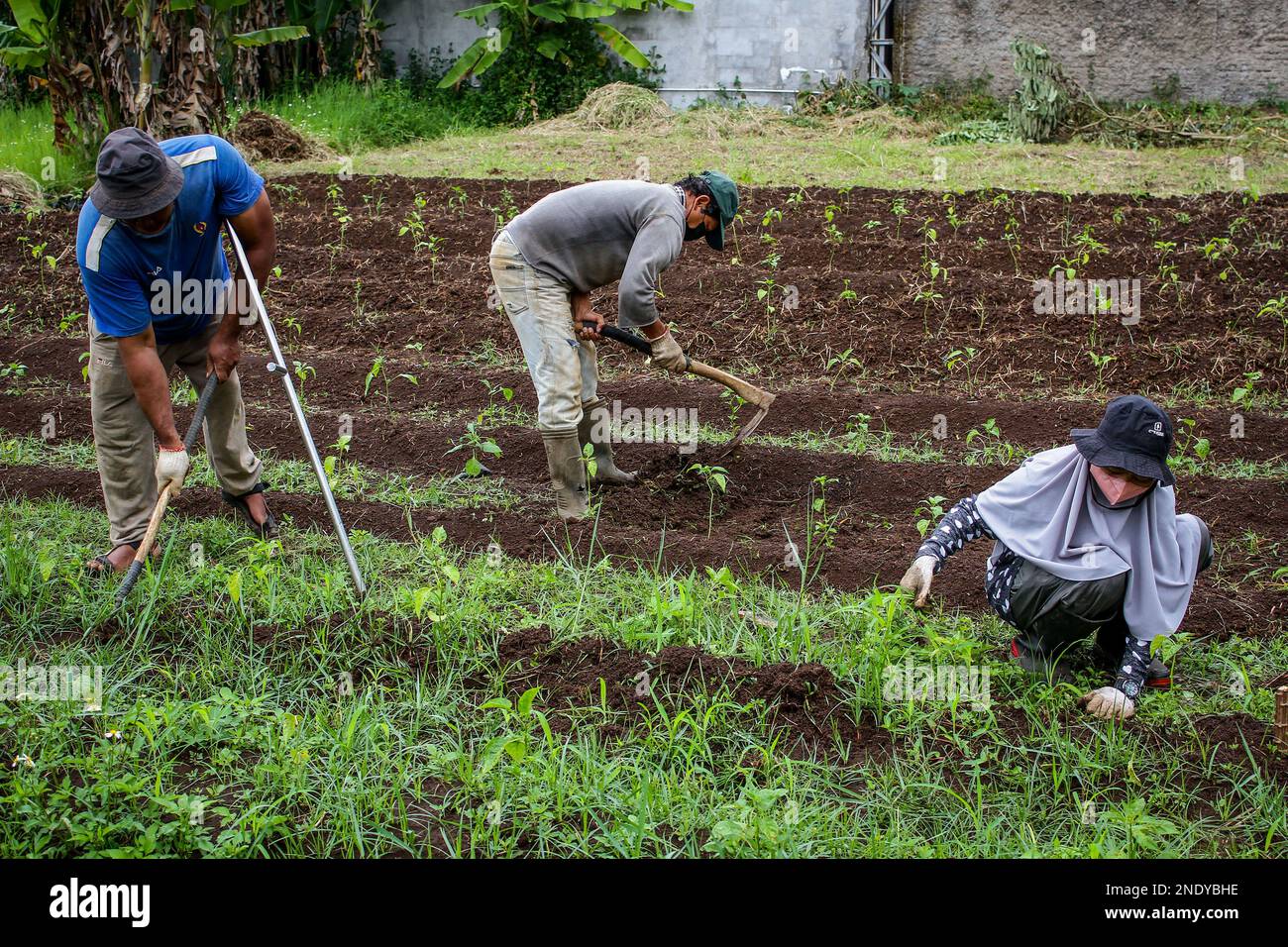 Bandung, West Java, Indonesia. 16th Feb, 2023. Members of the ...