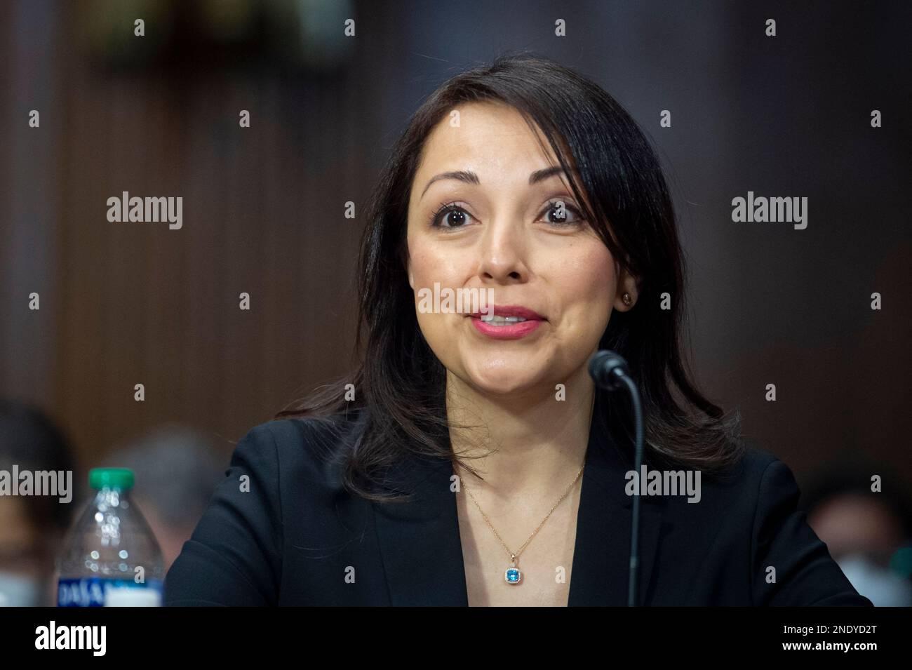 Monica Ramirez Almadani appears before a Senate Committee on the ...
