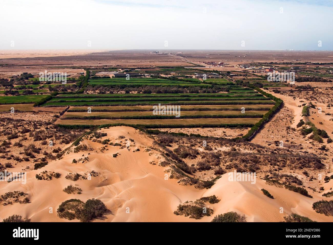 Fields near Laayoune, Western Sahara, Friday, April 9, 2010. Morocco ...