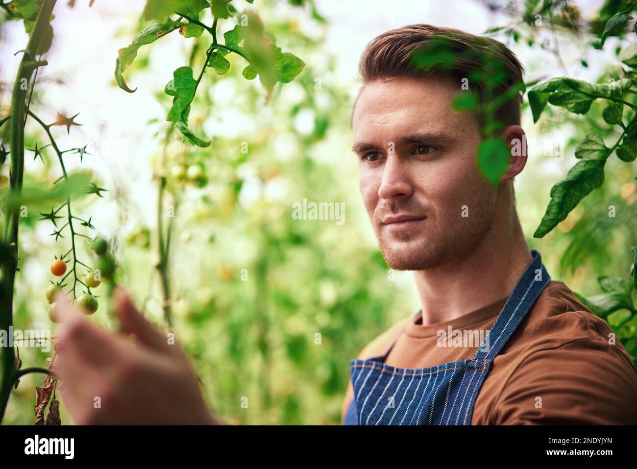This looks like the pick of the day. a handsome young farmer looking at ...