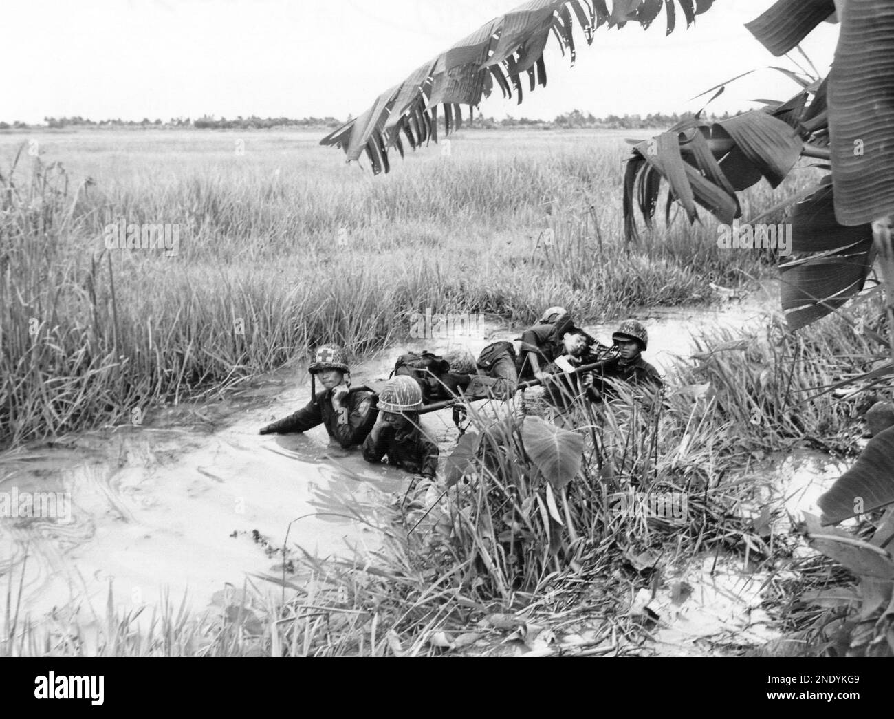 Vietnamese medics evacuate a seriously wounded comrade on a stretcher ...