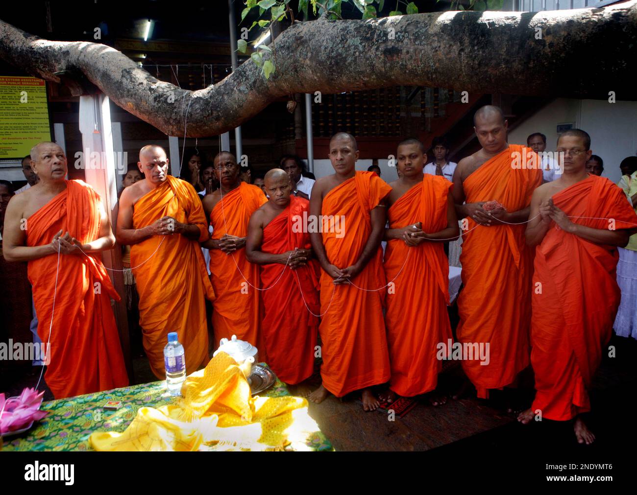 Sri Lankan Buddhist monks perform a New Year ritual at a temple, in ...