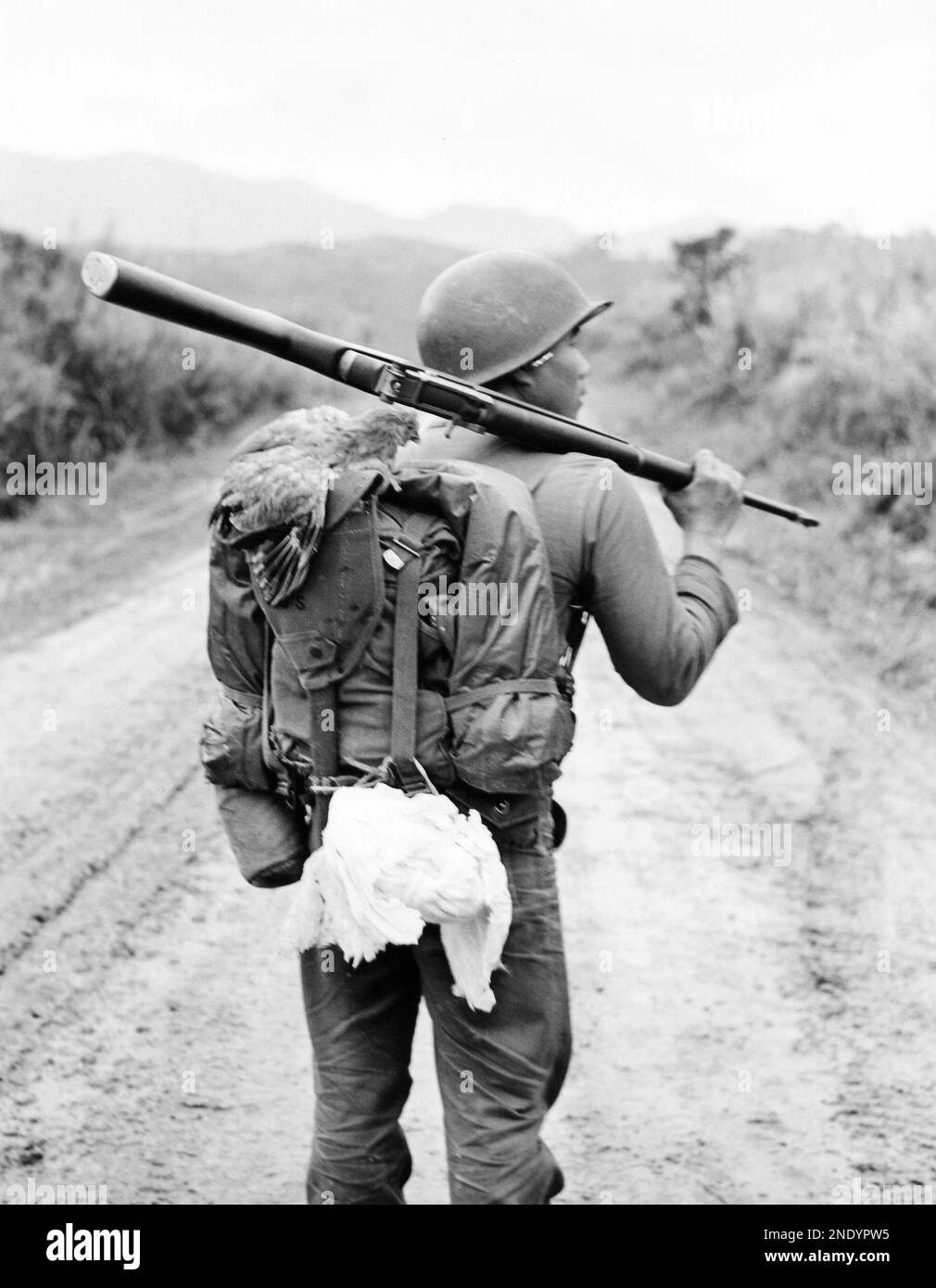 A soldier on patrol carries a live chicken in his belt in Vietnam on ...