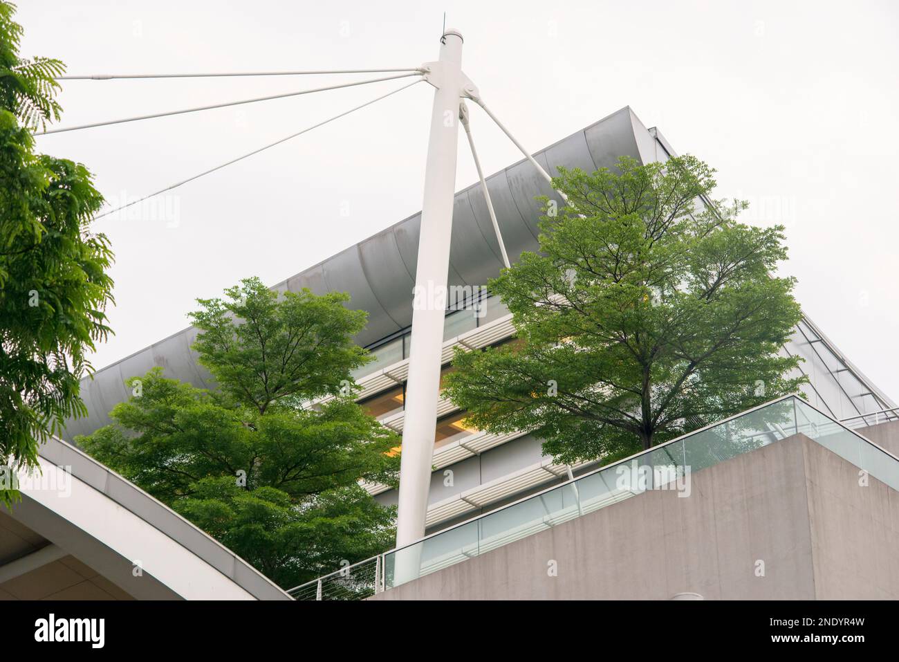 modern building structure with big green trees on terrace Stock Photo ...