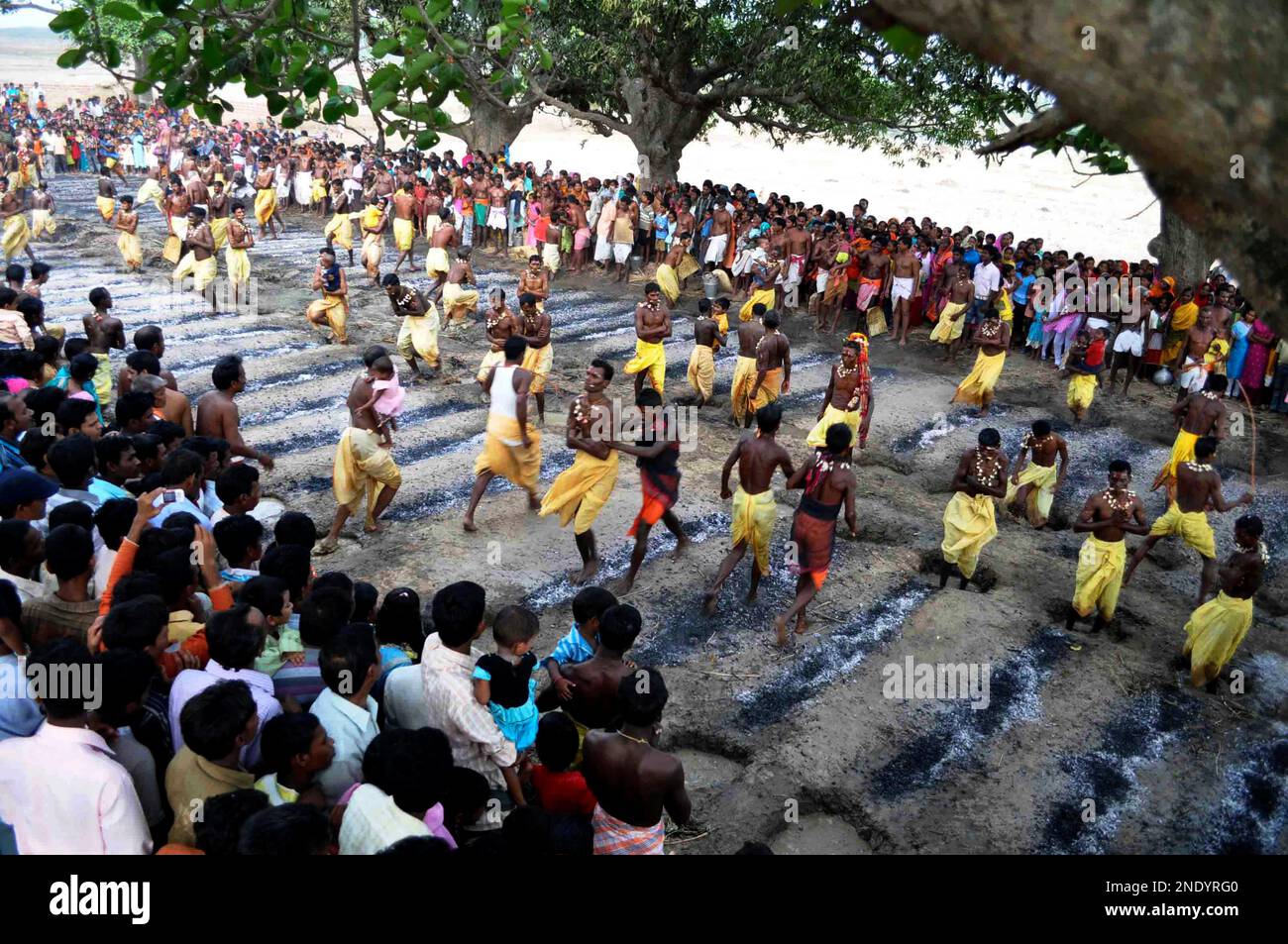 Indian villagers walk on fire as a ritual as part of a festival that ...