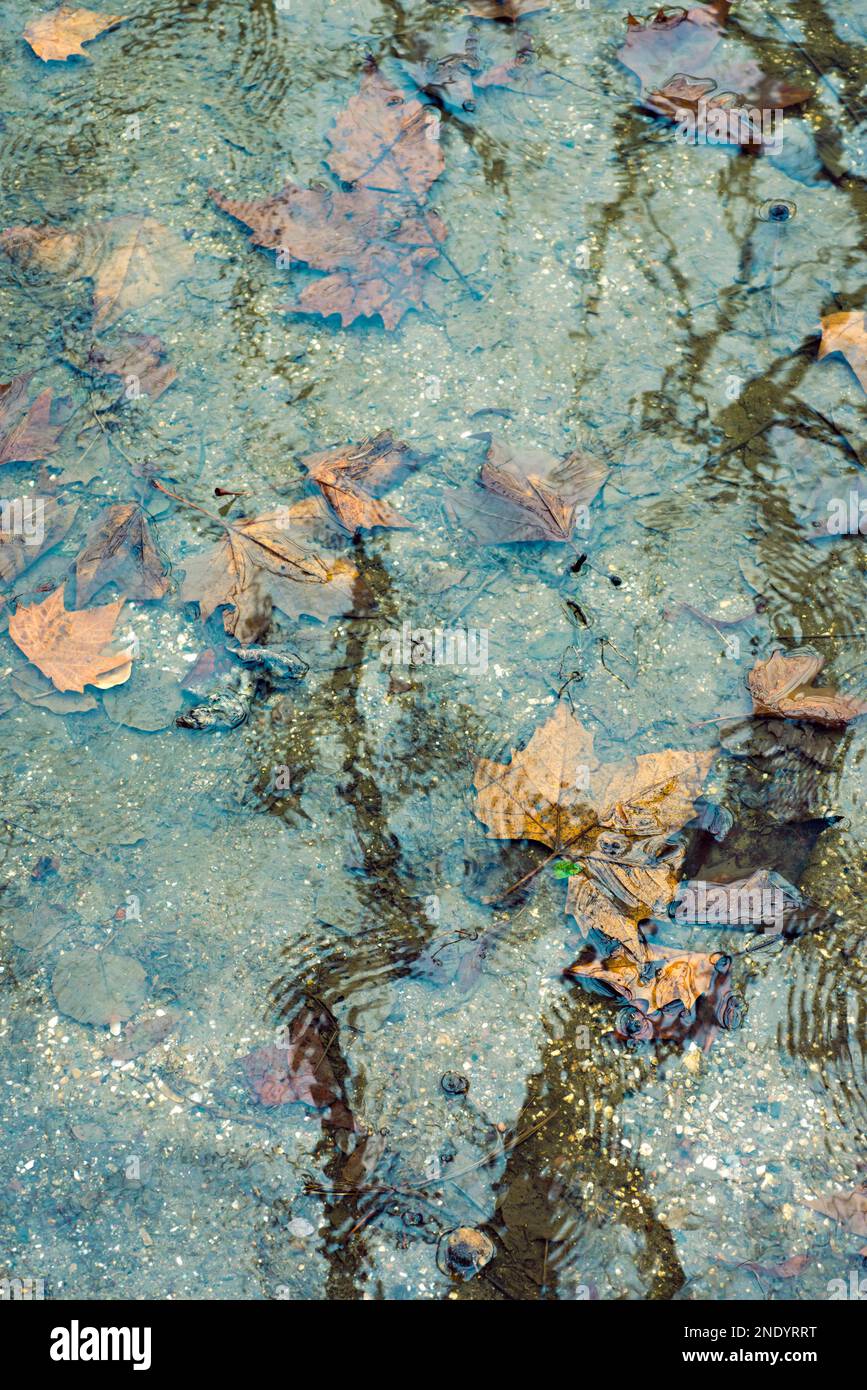 Flood puddle hi-res stock photography and images - Alamy