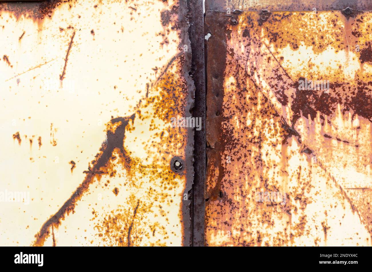 A rusty metal wall painted white. Rusty metal background with rust ...