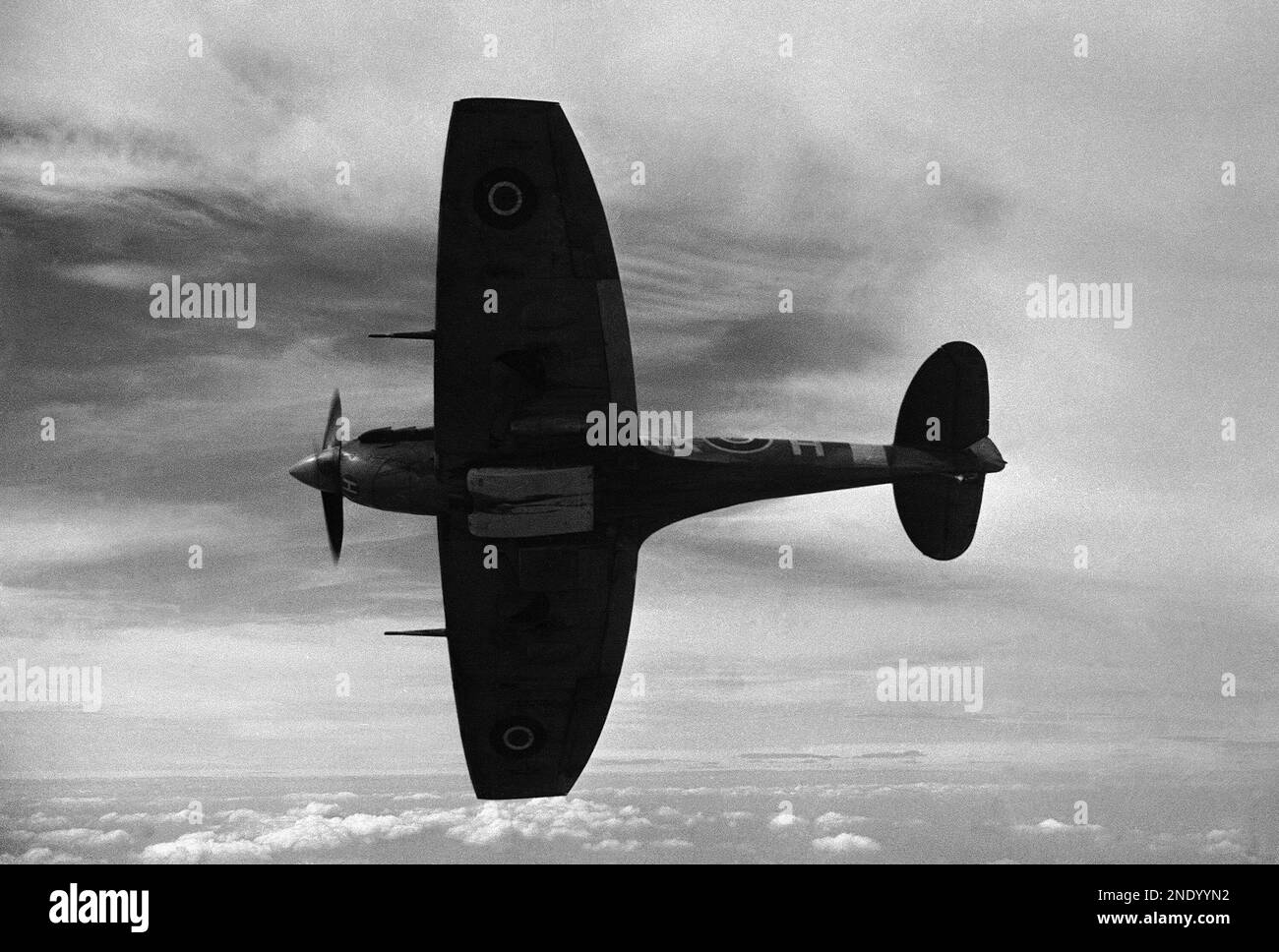 The new Spitfire fighter plane, with the famous pointed wings clipped ...