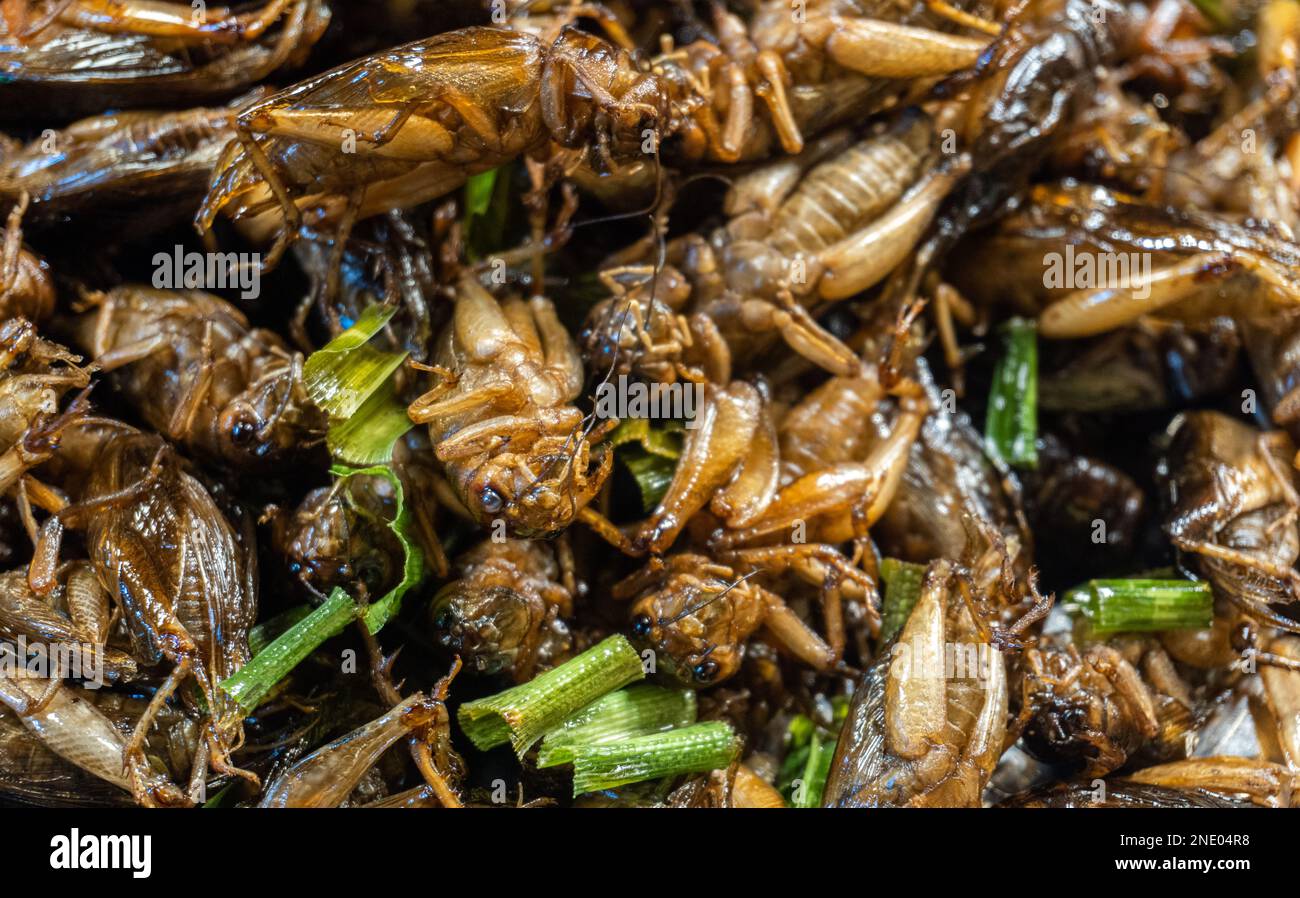 Marco gourmet hi-res stock photography and images - Alamy