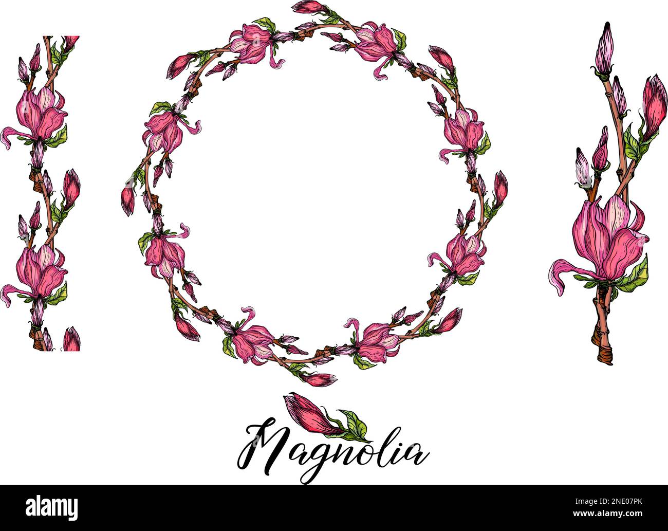 Set of vector flower arrangements with Magnolia flowers. Delicate ...