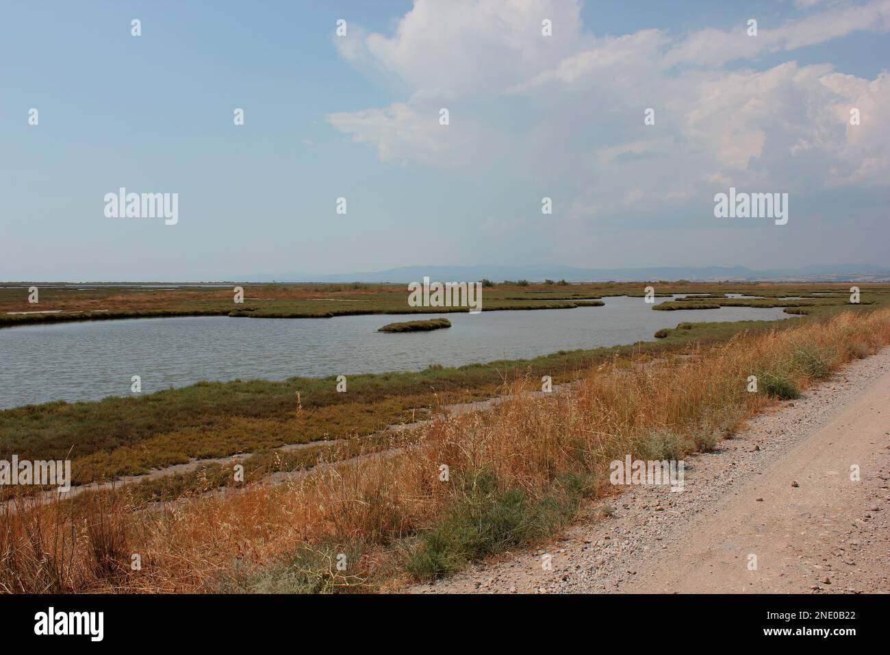 Delta Evros National Park, Evros Thraki Greece Stock Photo - Alamy