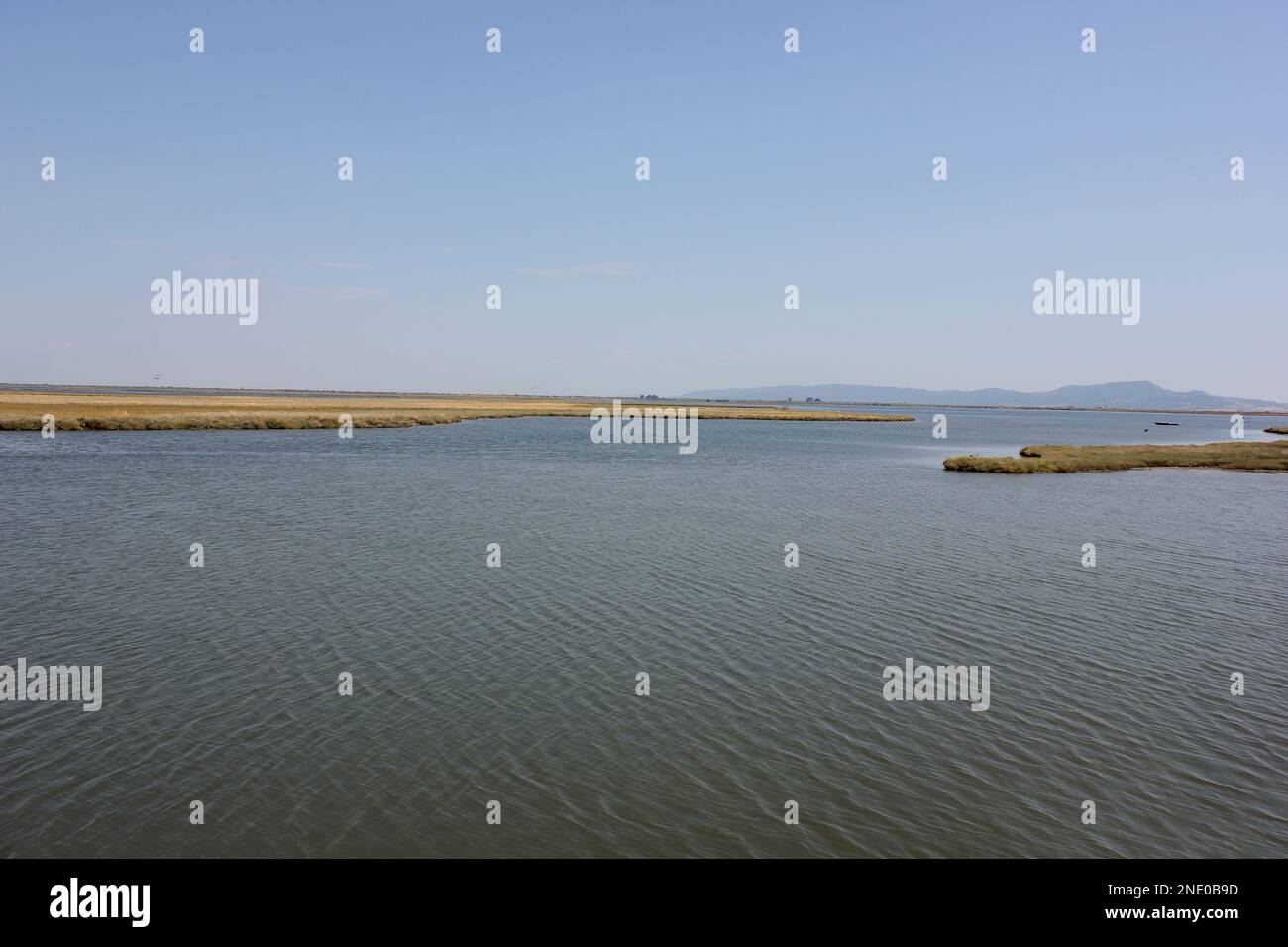 Delta Evros National Park, Evros Thraki Greece Stock Photo - Alamy