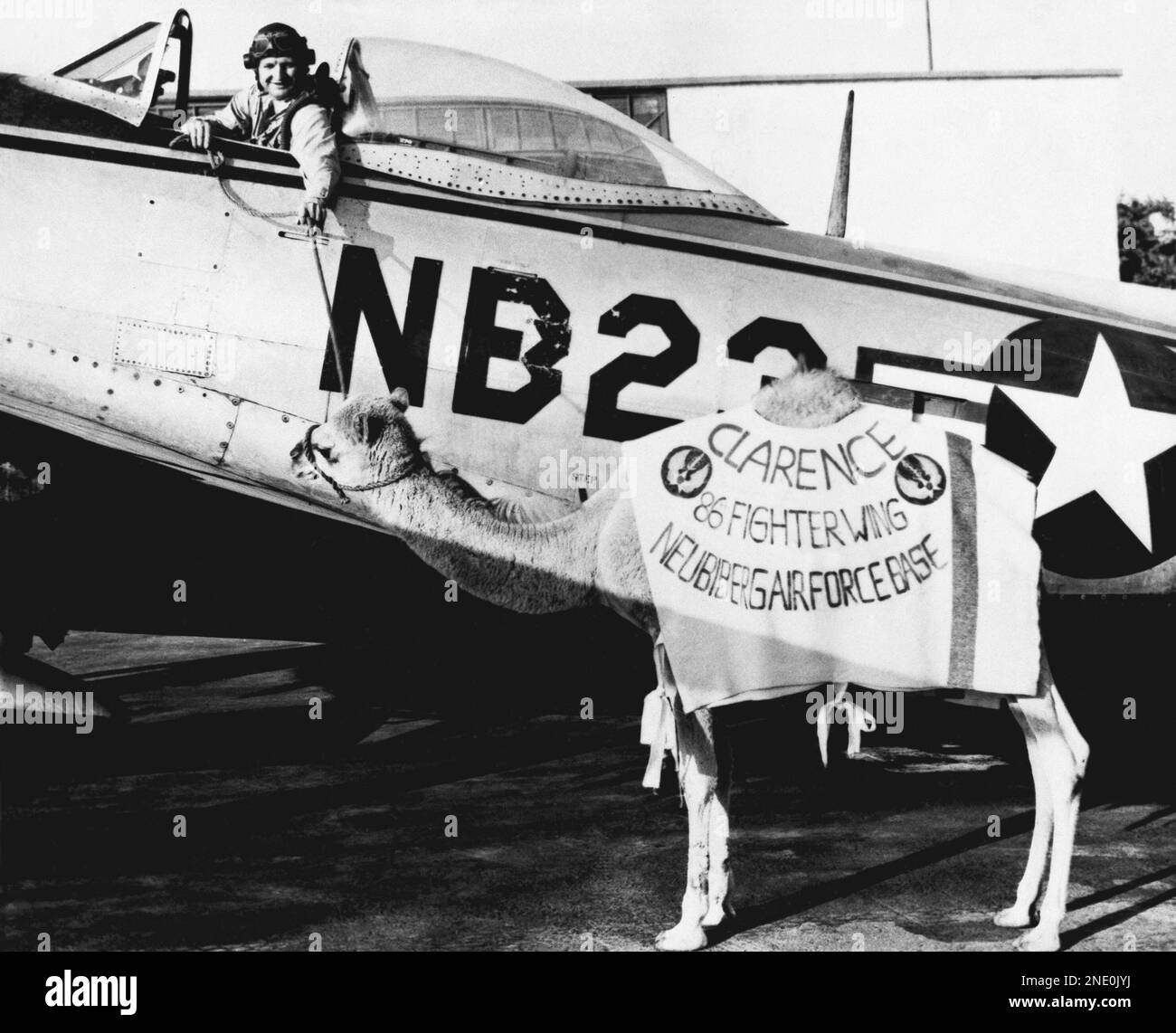The flying mascot of the U.S. Air Force?s 86th wing, Clarence the camel ...