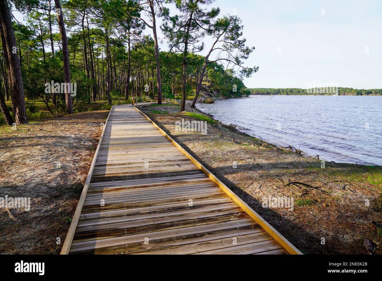 pathway lake view wooden path terrace in Maubuisson Carcans France ...