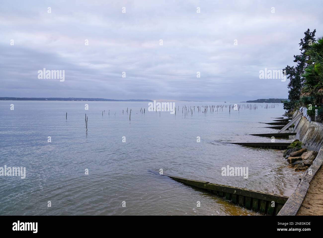 Oyster farm in Cap Ferret with Arcachon Dune du Pilat view in sunrise ...