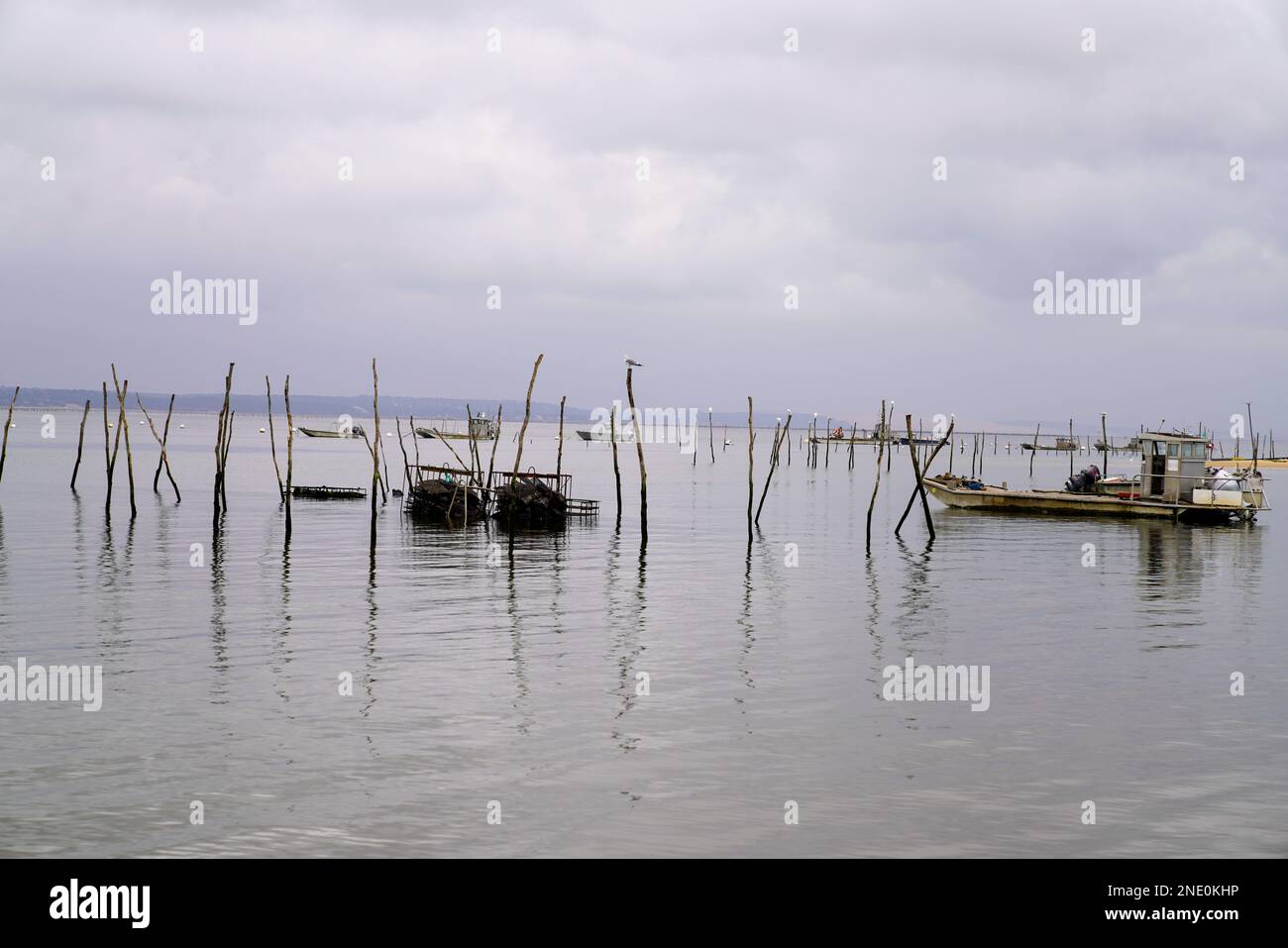 Oyster farm in Cap Ferret in winter sunrise in herbe village Stock ...