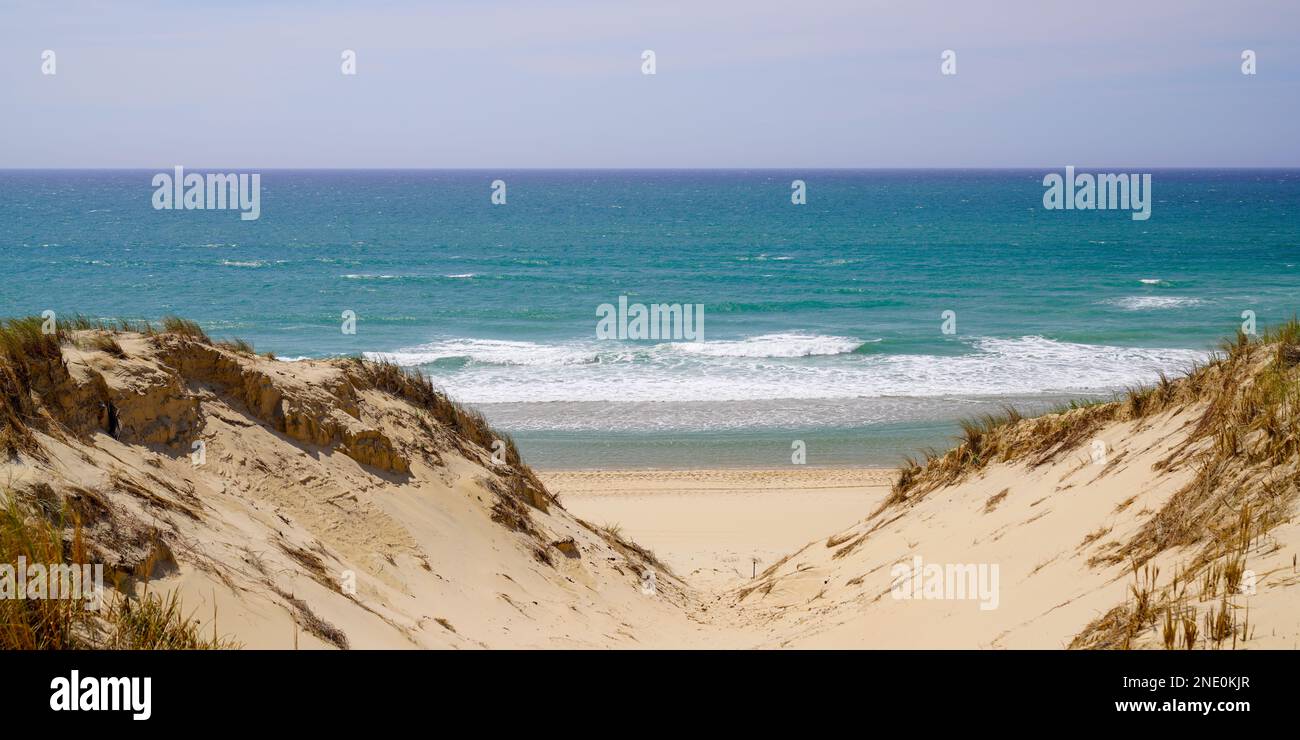 France gironde le porge beach hi-res stock photography and images - Alamy