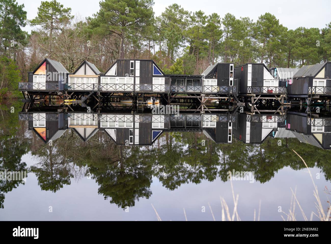 sunrise reflection on wooden pontoon lake in Marina of Talaris in ...