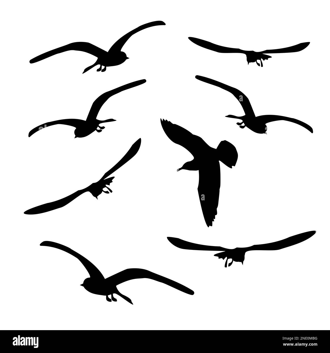 Set of silhouette flying seagulls isolated on white. Tern birds in ...