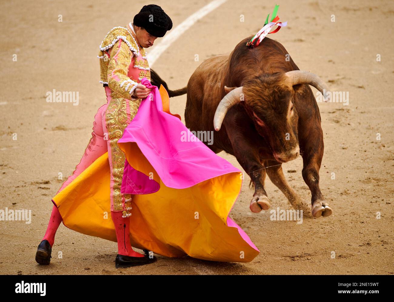 Spanish matador Daniel Luque performs with a bull from Nunez del ...