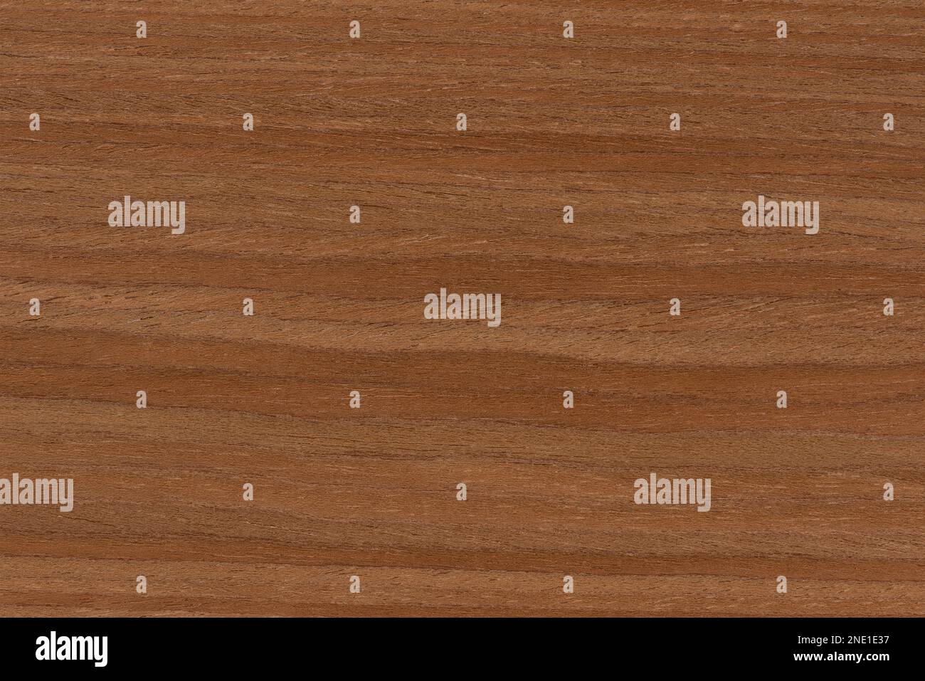 Cherry wood texture. Qualitative texture of wild cherry wood ...