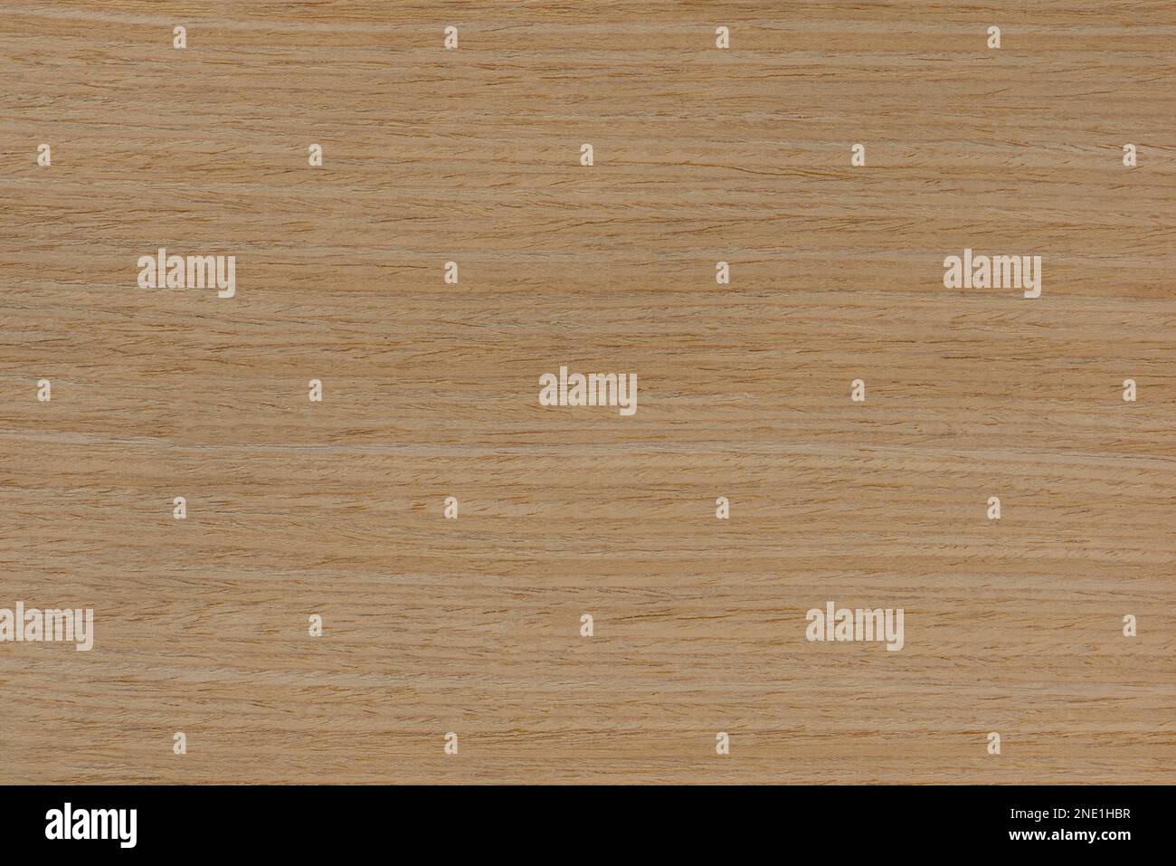 Wood texture. Natural maple texture. Maple board for furniture ...