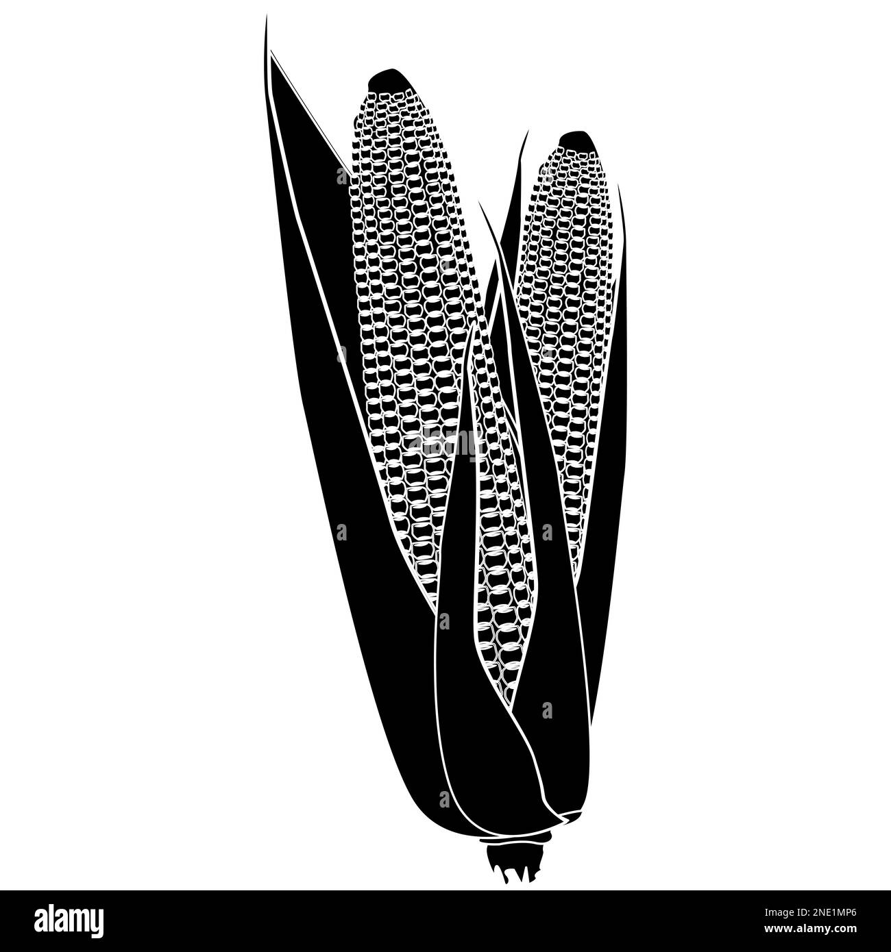 Two corn cobs silhouette with grains and leaves isolated on white ...