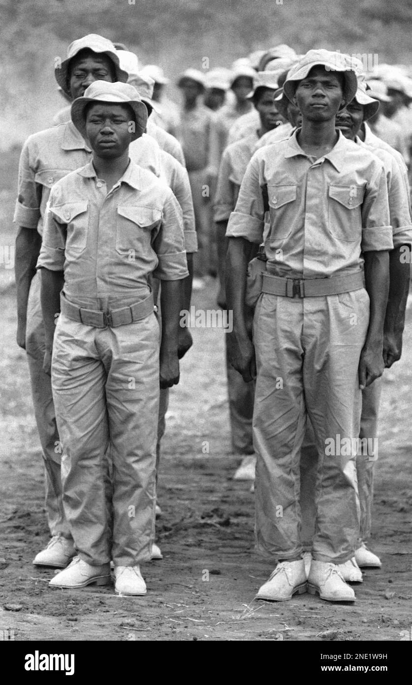 Guerrillas loyal to Robert Mugabe volunteer for the new unitary ...