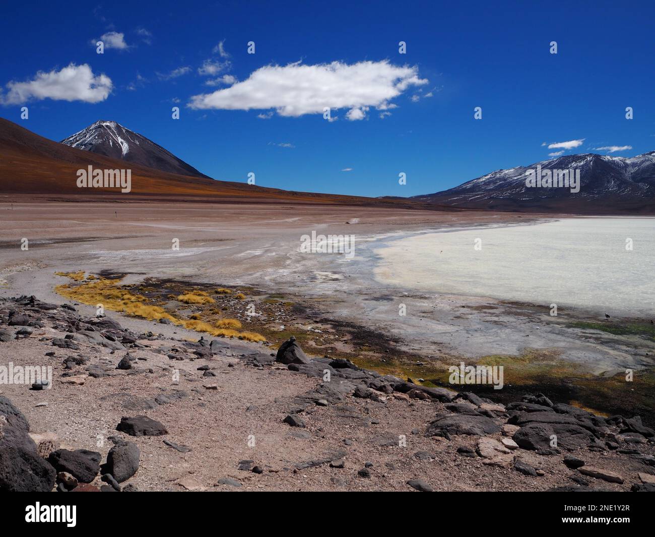 Laguna Hedionda on the Southwest circui, Bolivia Stock Photo - Alamy