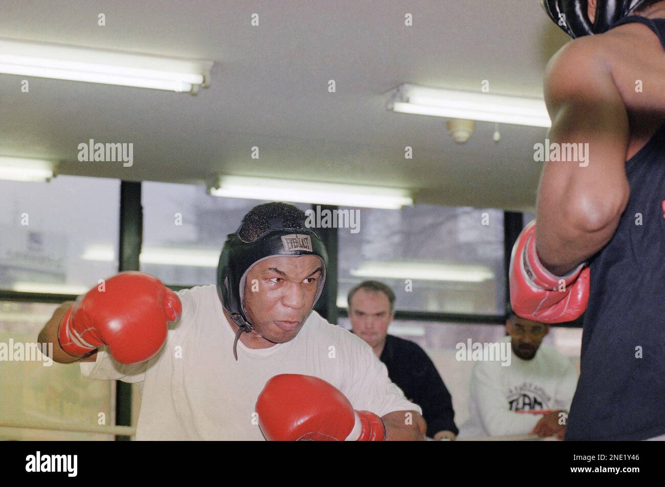 Undisputed heavyweight boxing champion Mike Tyson and his sparring ...