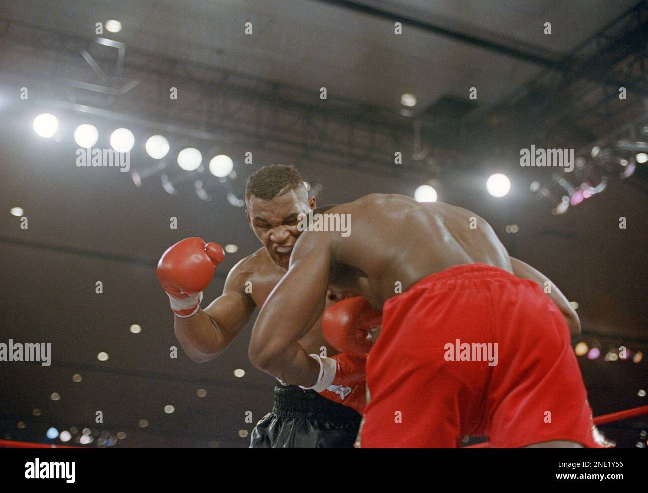 Heavyweight champion Mike Tyson bears down on challenger Frank Bruno ...