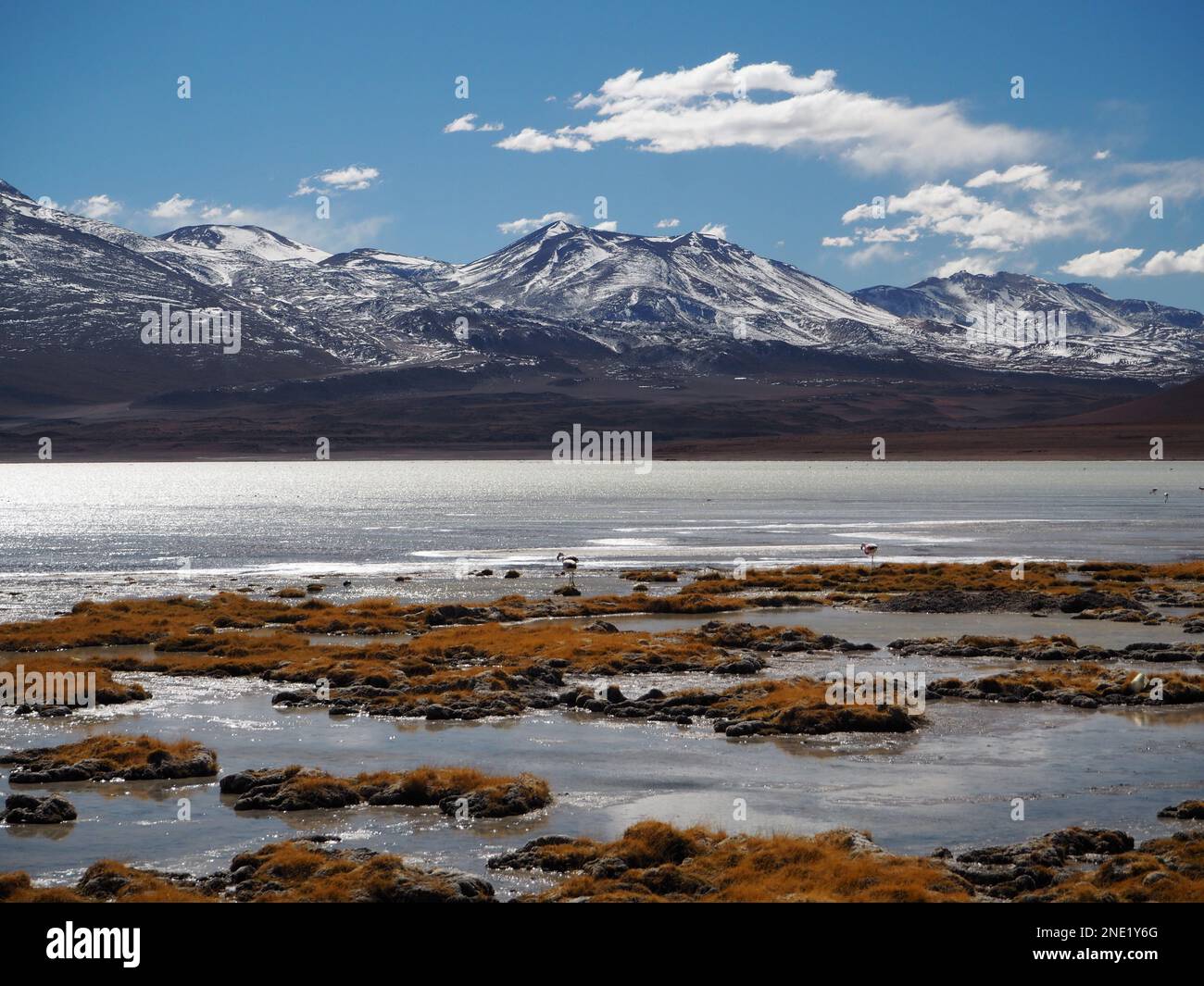 Laguna Hedionda on the Southwest circui, Bolivia Stock Photo - Alamy