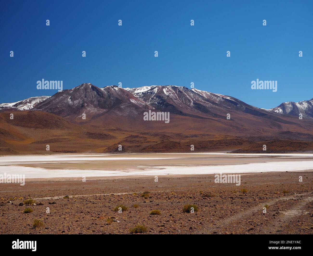 Lagunas de bolivia hi-res stock photography and images - Alamy