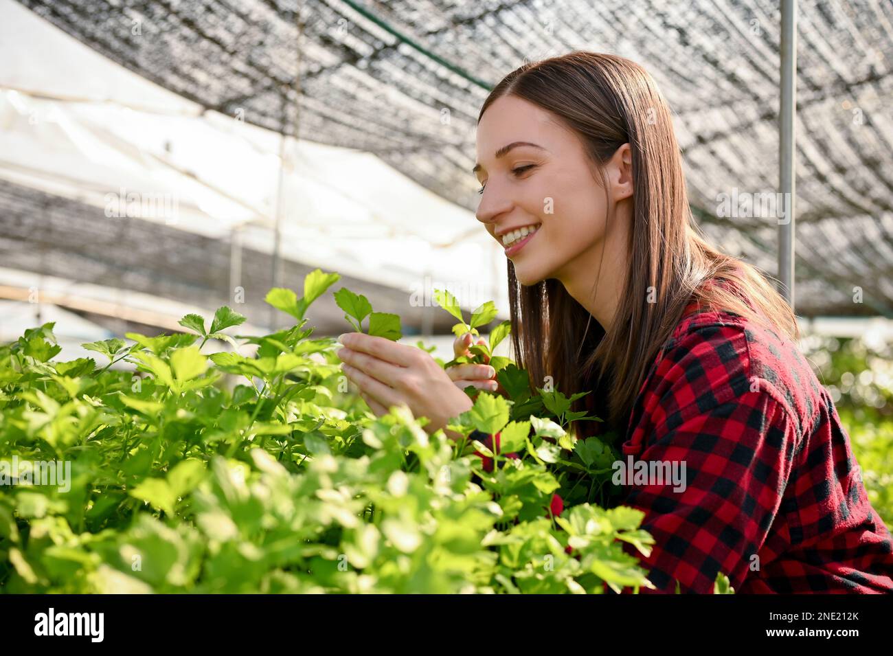 A happy Caucasian female organic farm owner is pleased with the quality ...