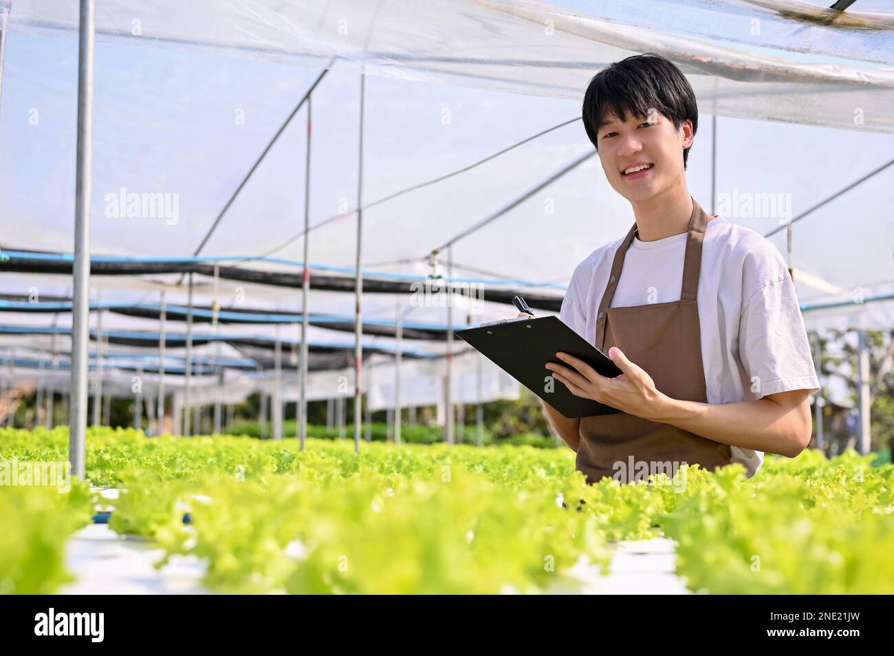 Successful young Asian male hydroponic farm owner inspecting and ...