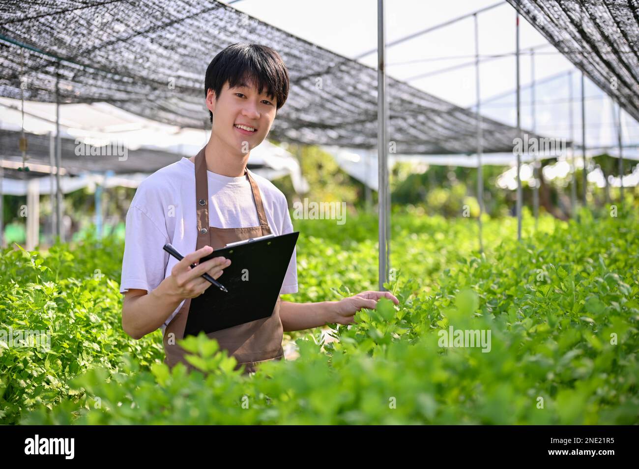 Happy young Asian male farmer or organic farm owner working in the ...