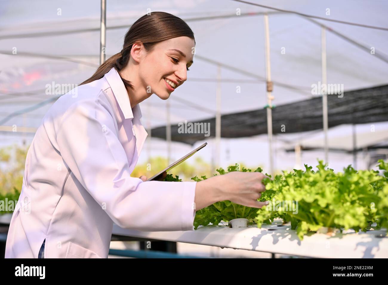 Female biologist examine plants in hi-res stock photography and images ...
