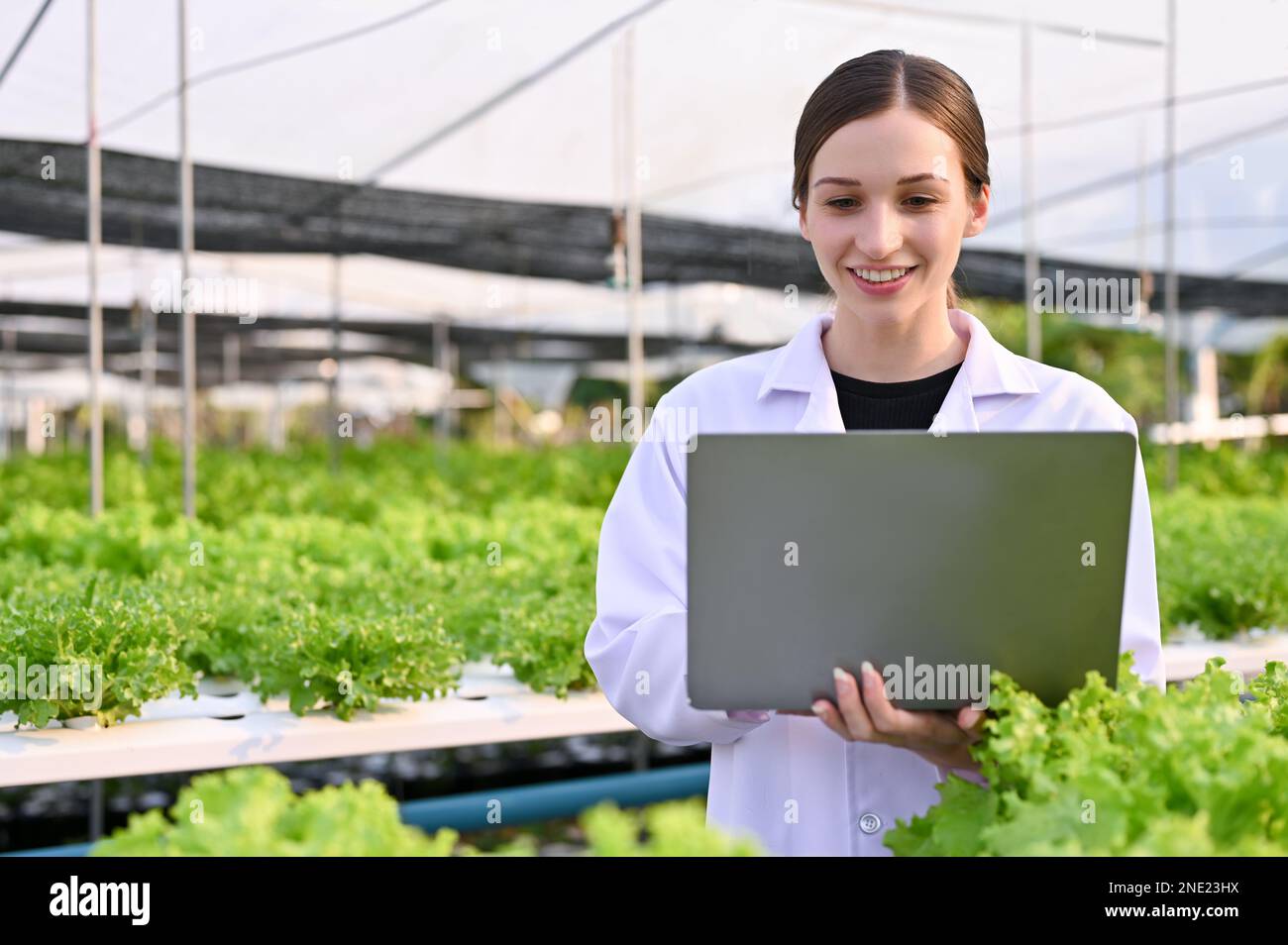 Hydroponic farming system hi-res stock photography and images - Alamy