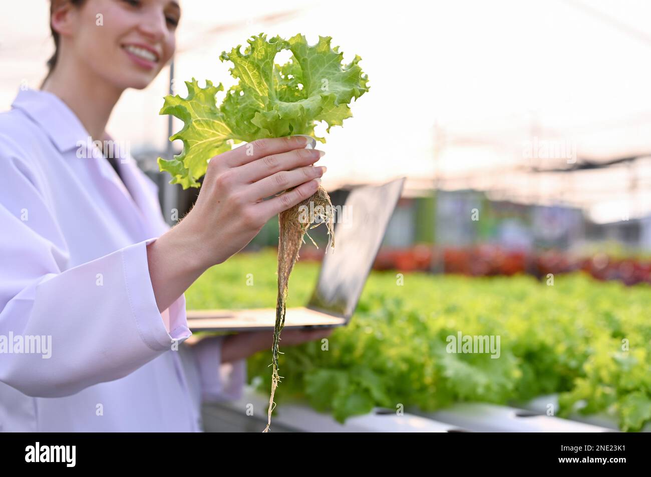 Smart and professional Caucasian female agricultural scientist or ...