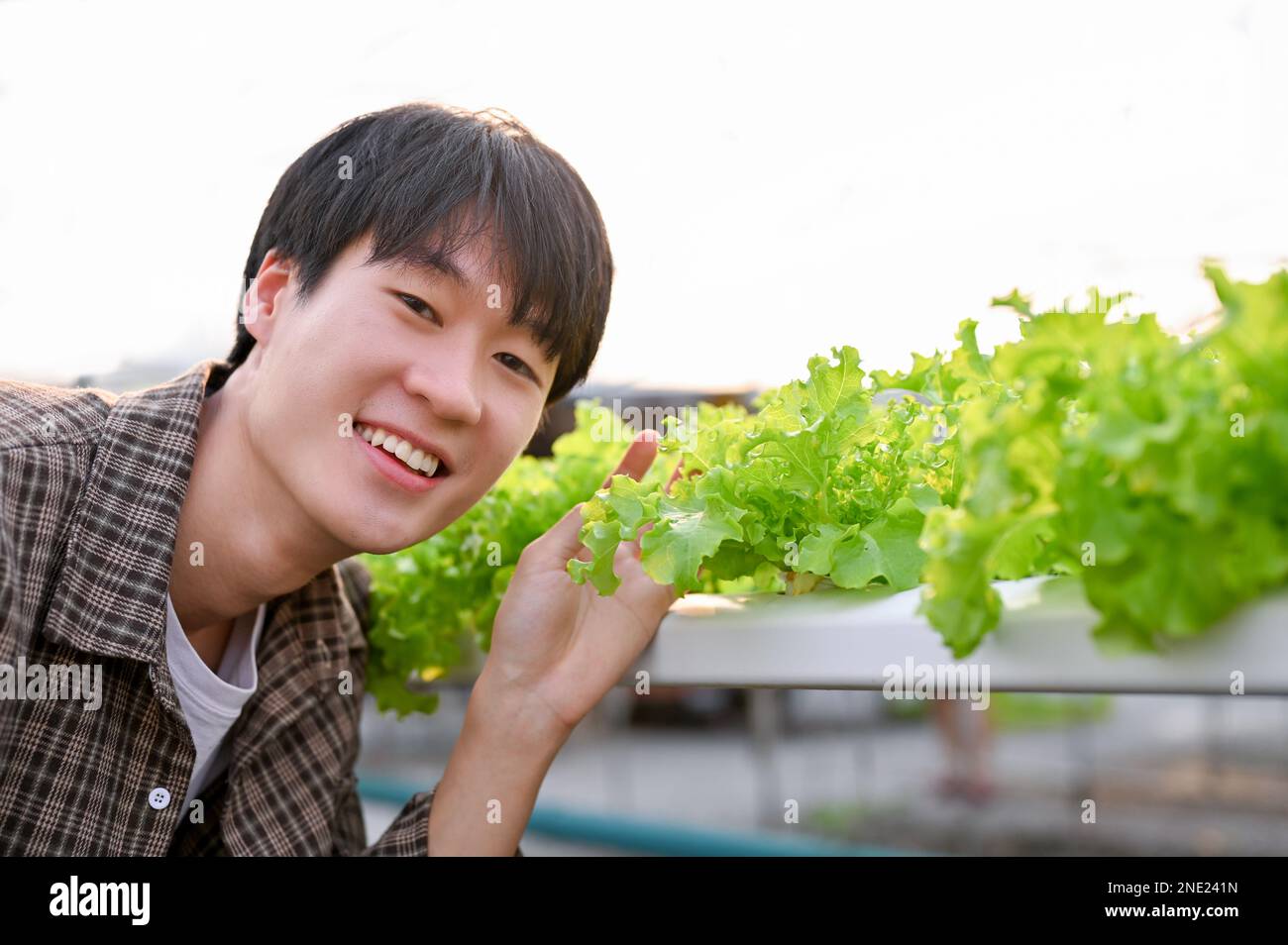 Happy and cute young Asian male organic salad farm owner is in the ...