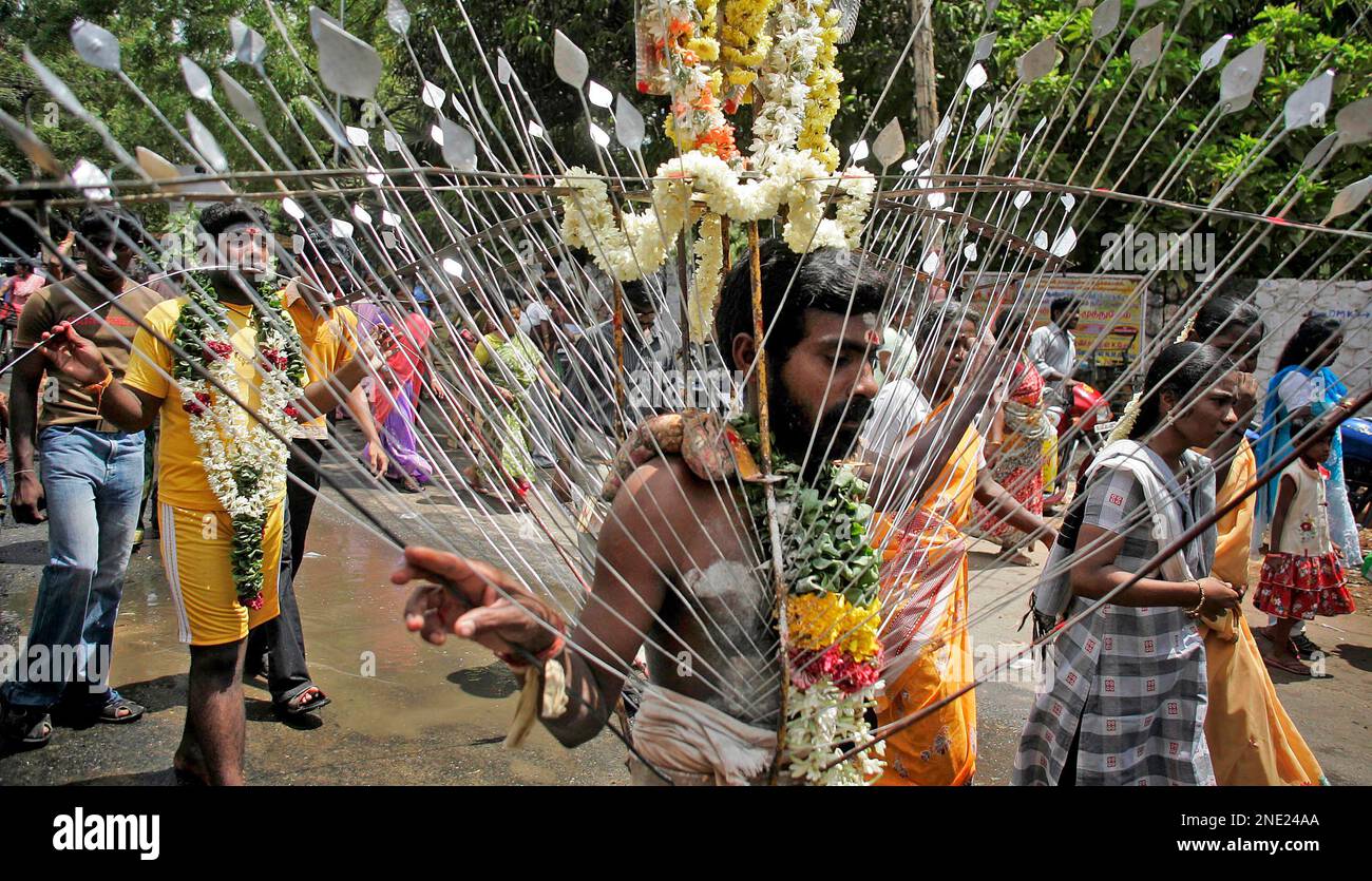 A Hindu devotee walks with steel rods pierced through his body during ...