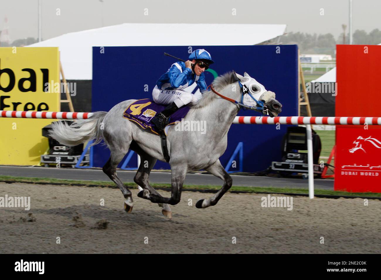 Jaafer riden by Adrie De Vries, seen prior to crossing the finish line ...
