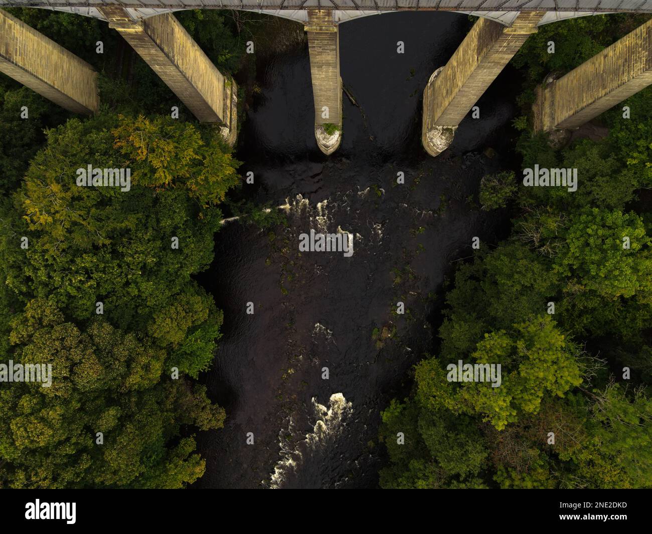 Beautiful scenery trees hi-res stock photography and images - Alamy
