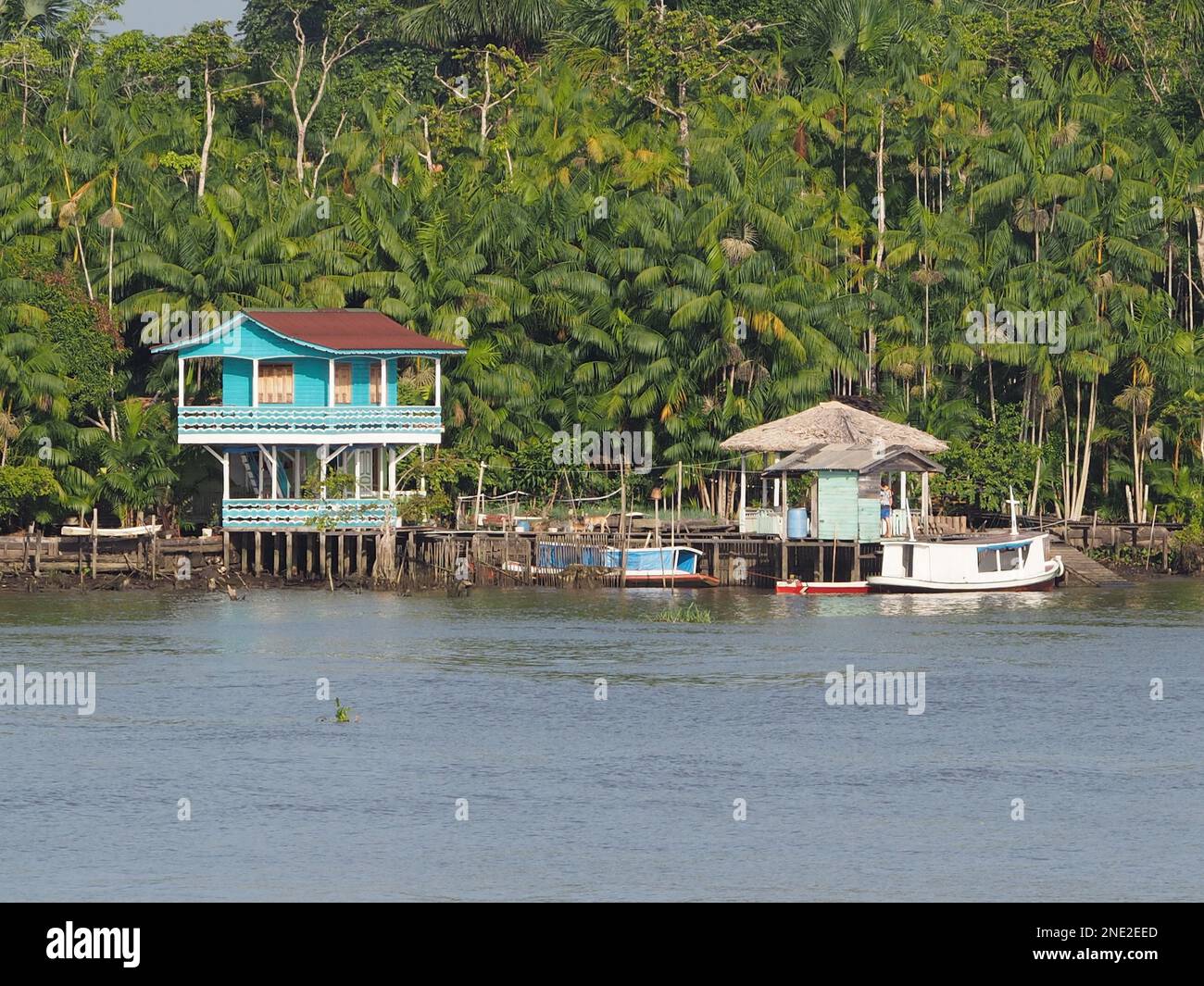 Houses built on stilts on the Amazon river, Brazil Stock Photo - Alamy