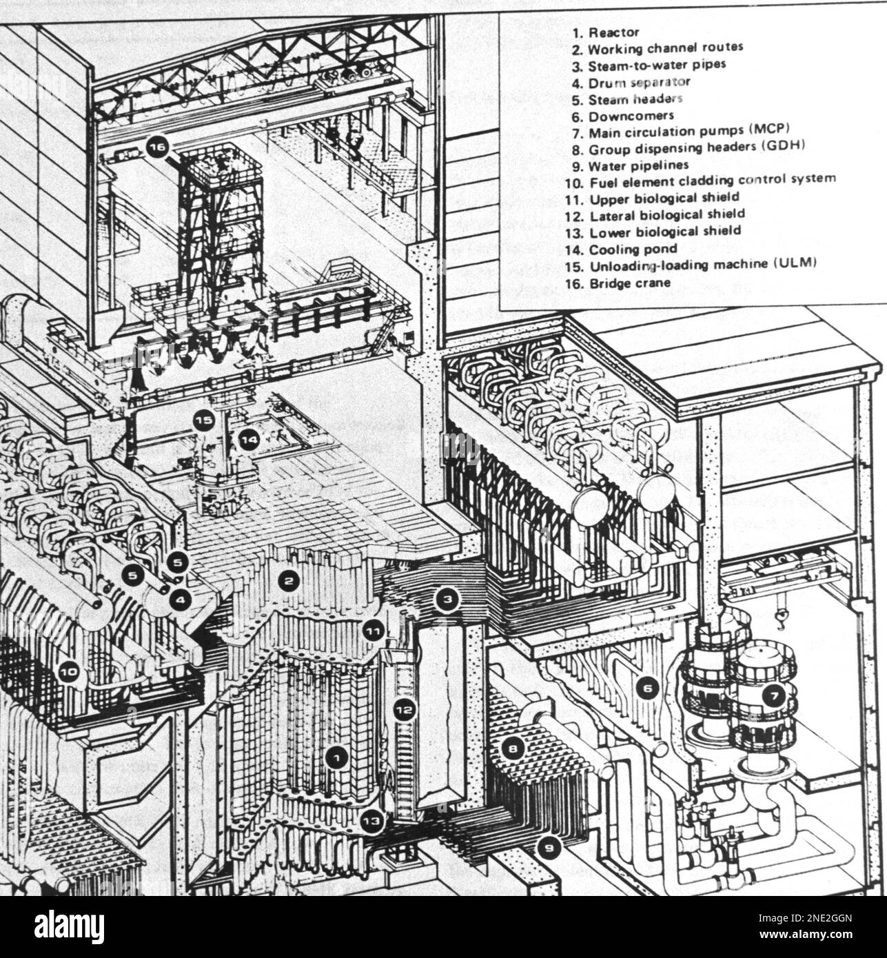 This diagram published by the International Atomic Energy Agency in ...