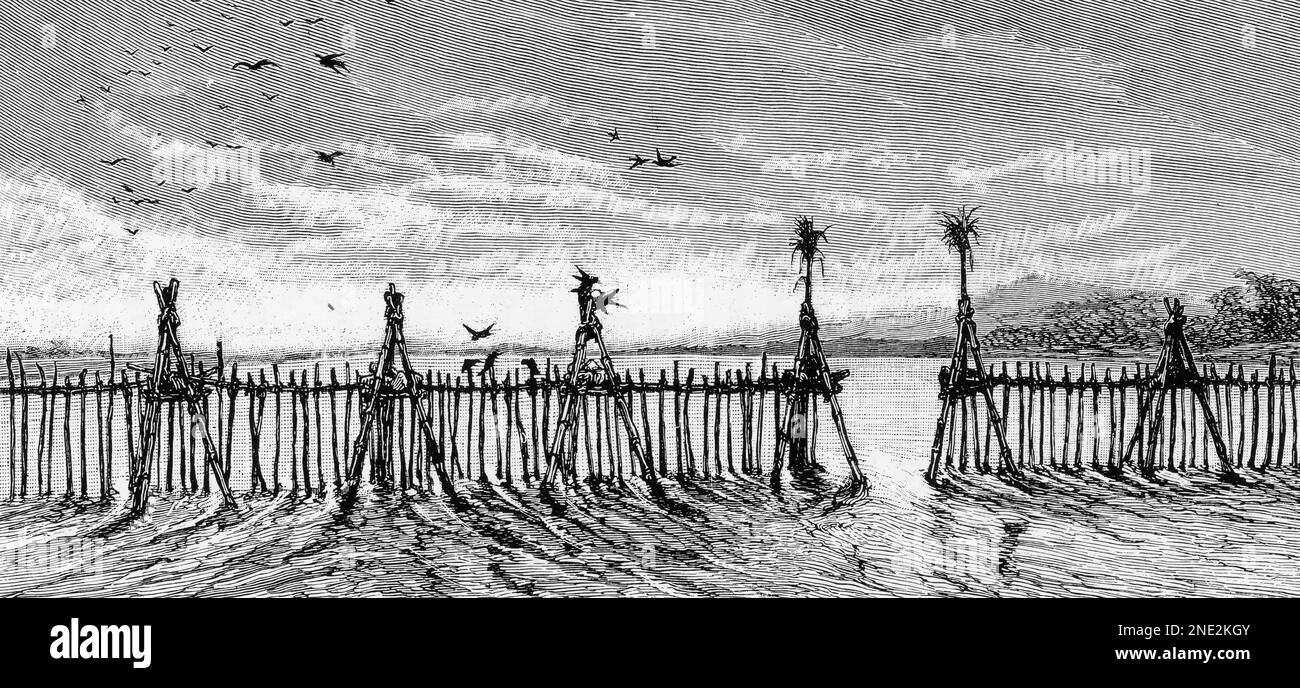 Fish traps on the Nam Kan River in Laos; sketch by Eugene Burnand (c ...