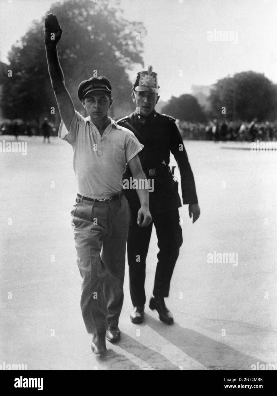 Nazis have arranged demonstrations in front of the Reichstag building ...