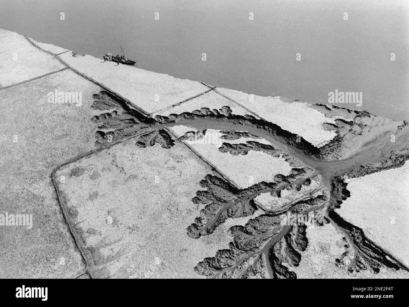 The Backwash of the Tidal wave caused by the November Cyclone has ...